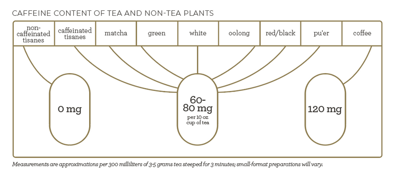 Tea and Caffeine, Explained - Hugo Tea Company